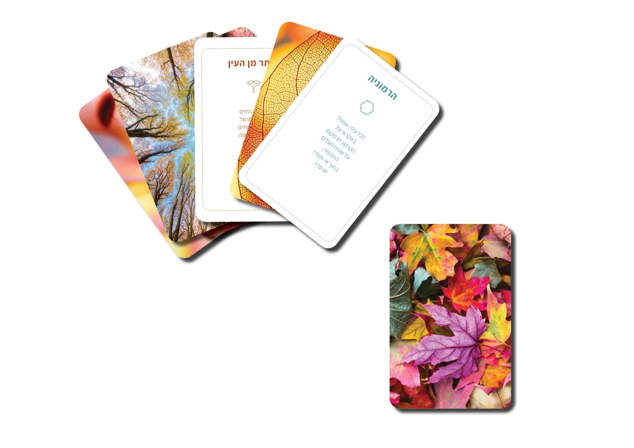 עמוד הבית - Nature Code