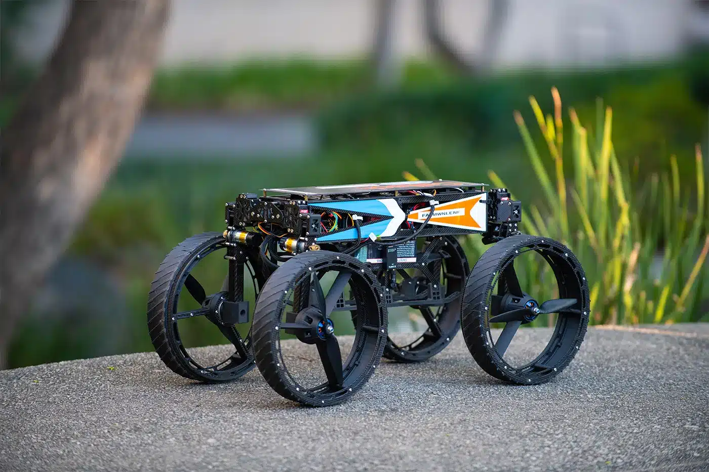 נבחרת הרובוטים - Nature Code